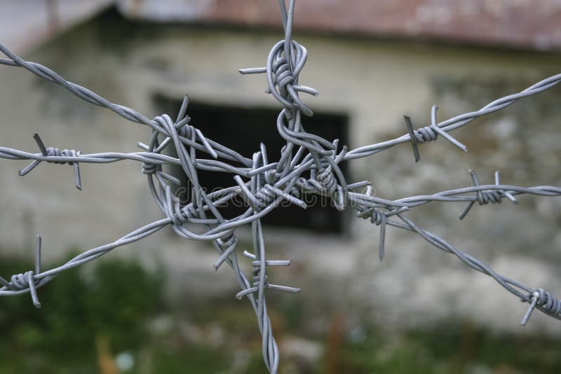 Closed Area. Barbed Wire, Danger. Passage is Prohibited Stock Photo ...