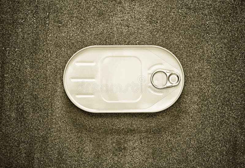 Closed Canned Fish in a White Oval Box on a Gray Background Stock Image ...