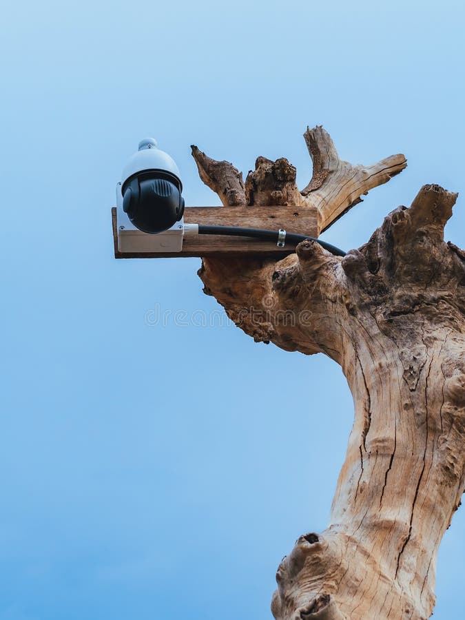 Closed Circuit Camera Multi-angle CCTV System Camera Installed on Dead ...