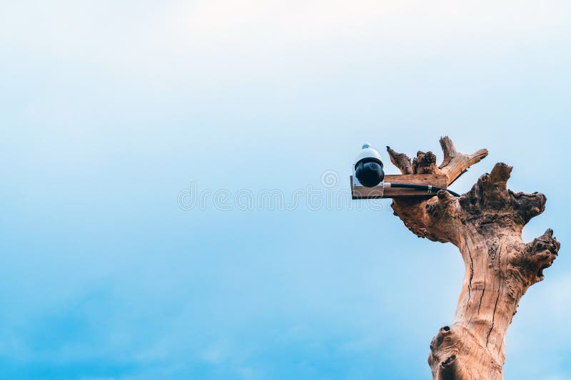 Closed Circuit Camera Multi-angle CCTV System Camera Installed on Dead ...