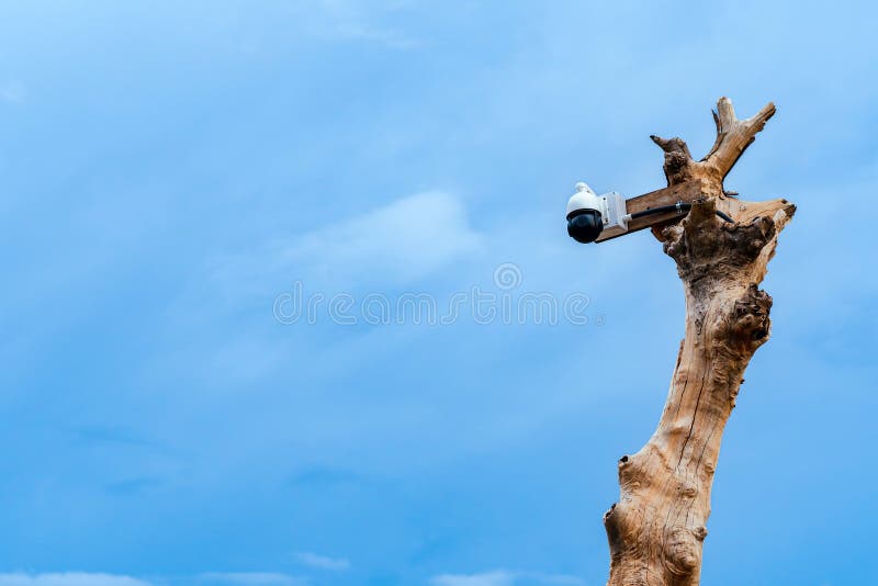 Closed Circuit Camera Multi-angle CCTV System Camera Installed on Dead ...