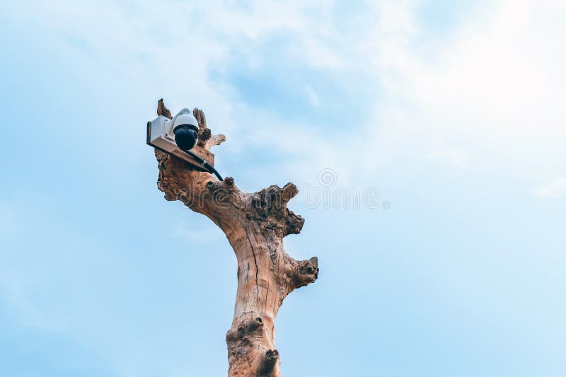 Closed Circuit Camera Multi-angle CCTV System Camera Installed on Dead ...