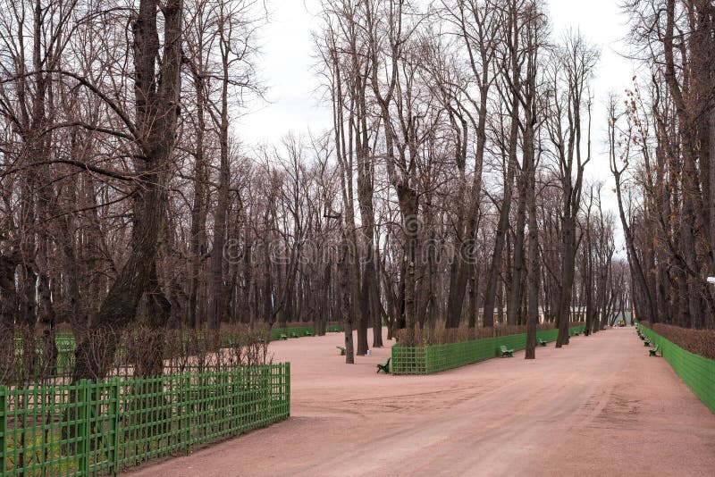 Closed garden to dry stock image. Image of branches, perspective - 30769259