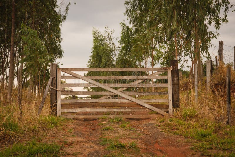 Closed Gate of farm stock photo. Image of entrance, gateway - 21137080