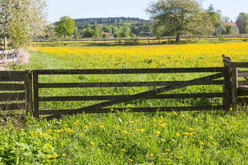Closed gate stock image. Image of nature, pasture, scene - 41685409