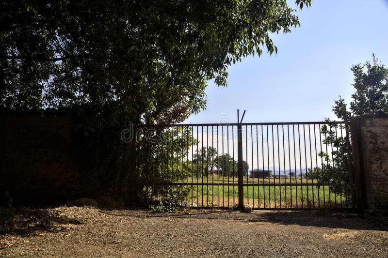 Closed Gate and a Tree with a Field Stock Photo - Image of grazing ...