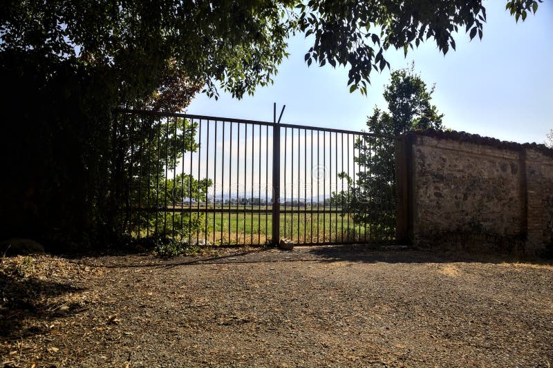 Closed Gate and a Tree with a Field Stock Image - Image of fence, grass ...