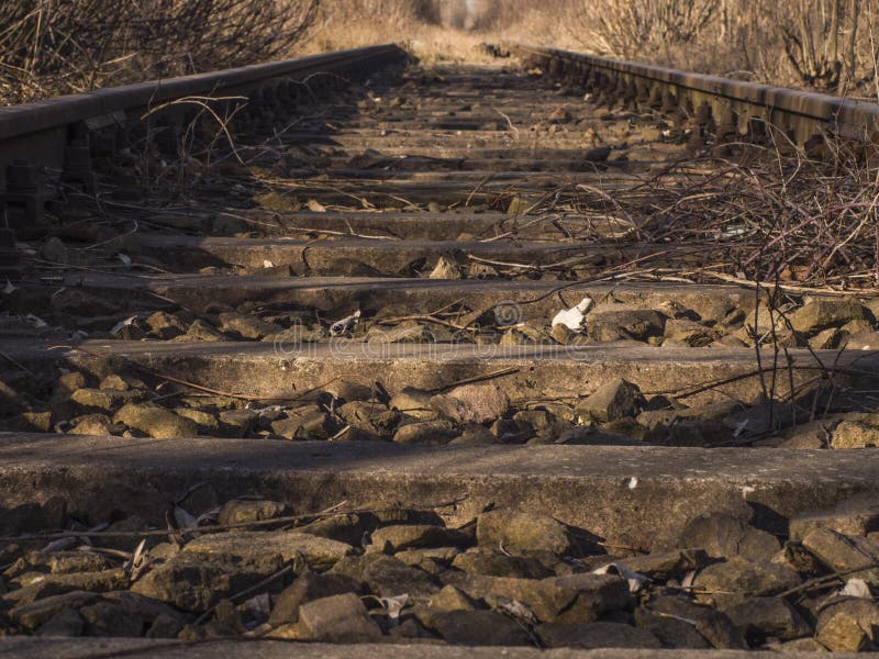 Closed Line and Railway Tracks Stock Photo - Image of sunny, railroad ...