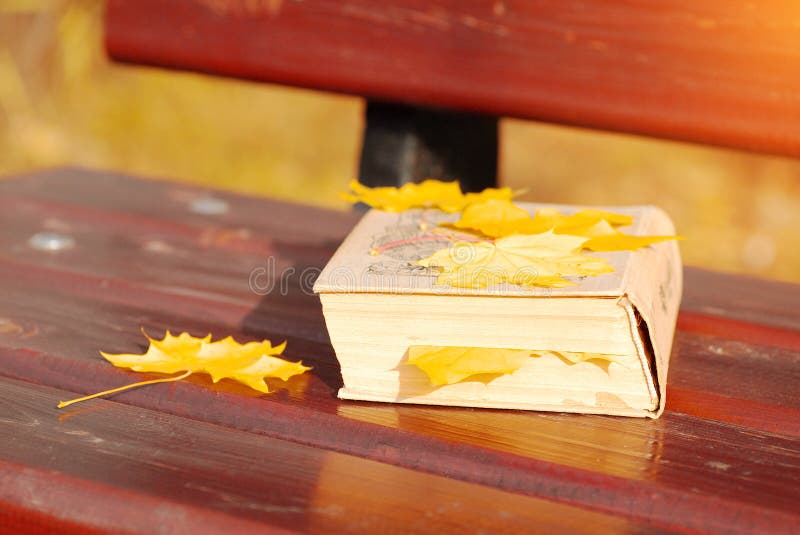 Closed Old Book on a Bench with Fallen Maple Leaves Stock Photo - Image ...