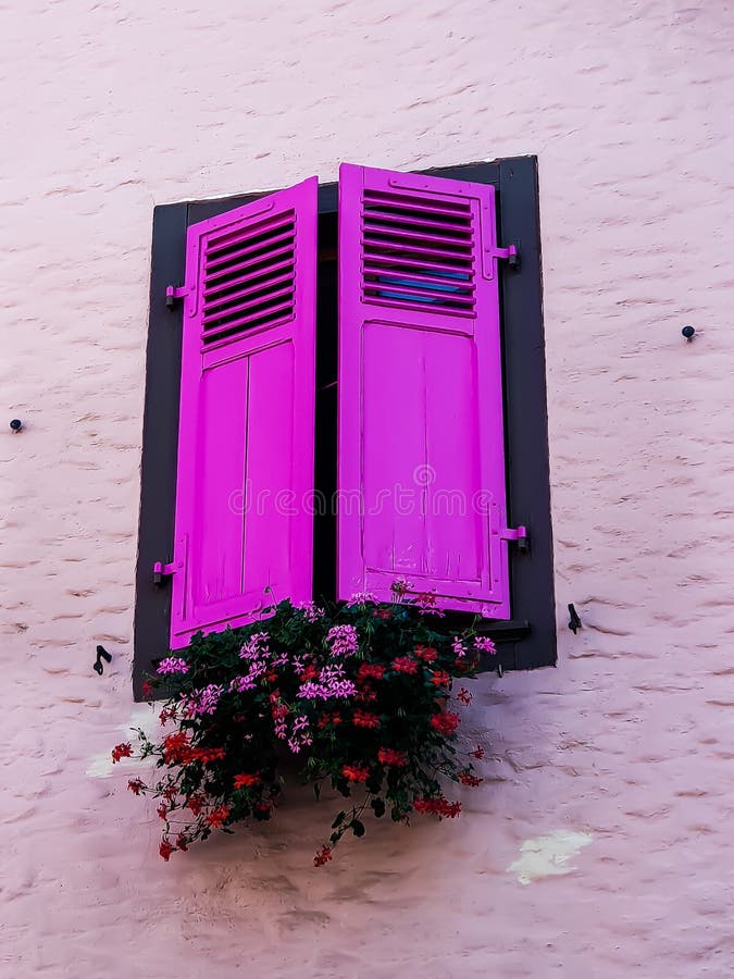Two Closed Pink Windows With Flowers On A Rose Wall Stock Image - Image ...