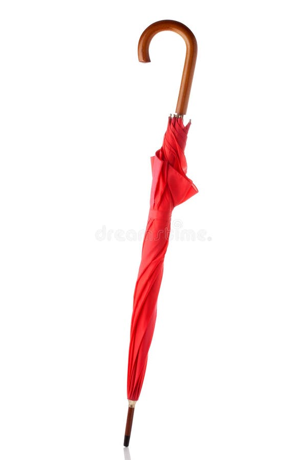 Closed Purple Violet Parasol Umbrella Stock Photo - Image of purple ...