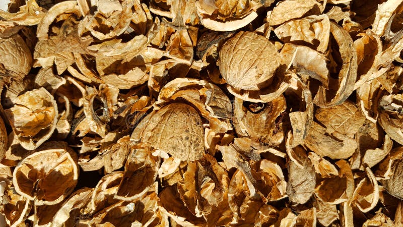 Pile of nutshell stock photo. Image of healthy, closeup - 111991128