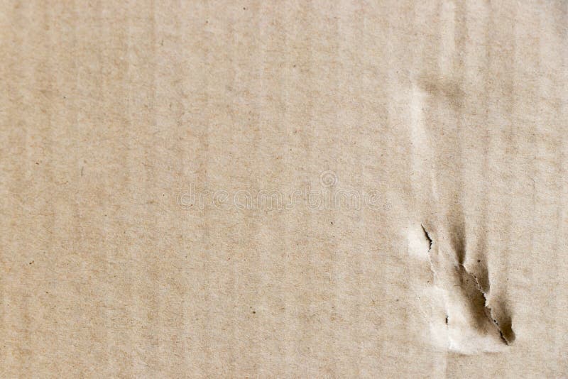 10,258 Damage Paper Texture Stock Photos - Free & Royalty-Free Stock ...