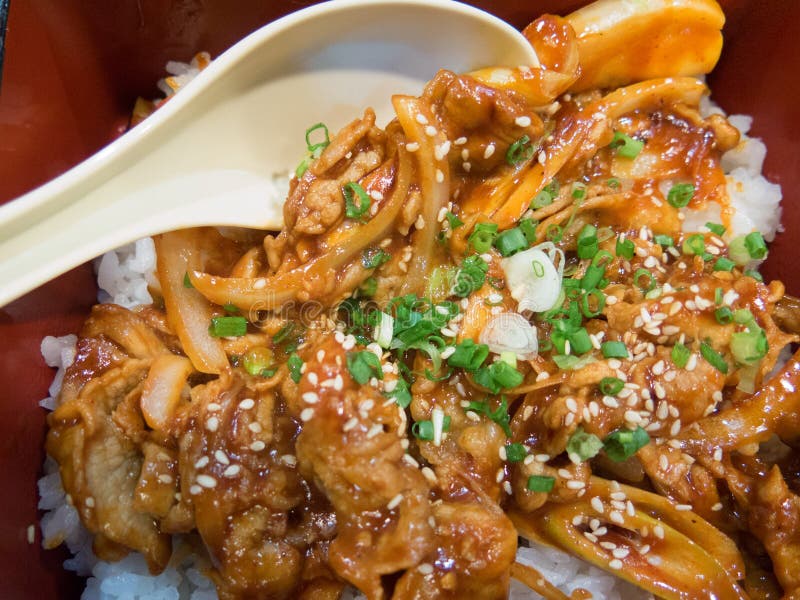 Fried Pork with Egg in Soup, Tongkustu the Japanese Food Stock Image ...