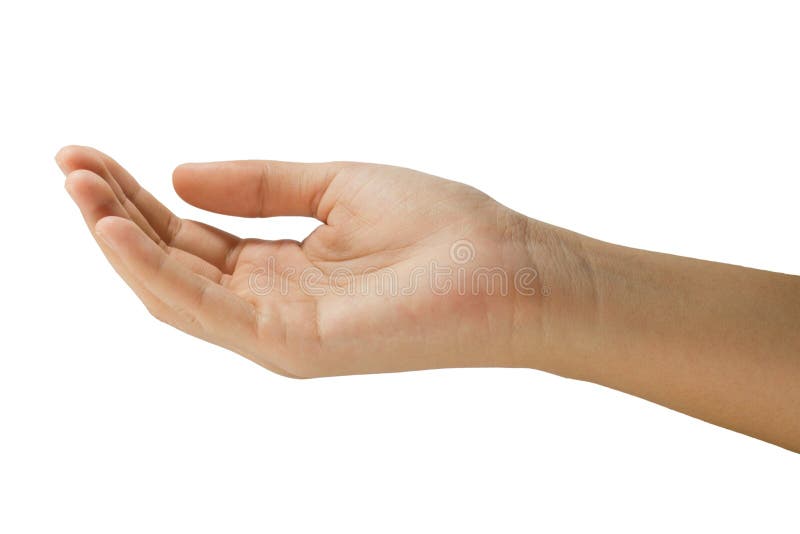 Closed-up palm up stock image. Image of beautiful, isolated - 25476331