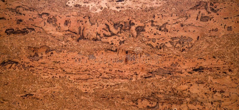 Closed Up of Panoramic Brown Cork Board Texture for Banner Background ...