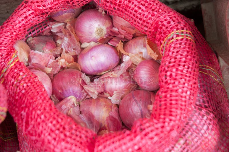 Closed Up Shallots on a Plastic Bag Stock Image - Image of organic ...