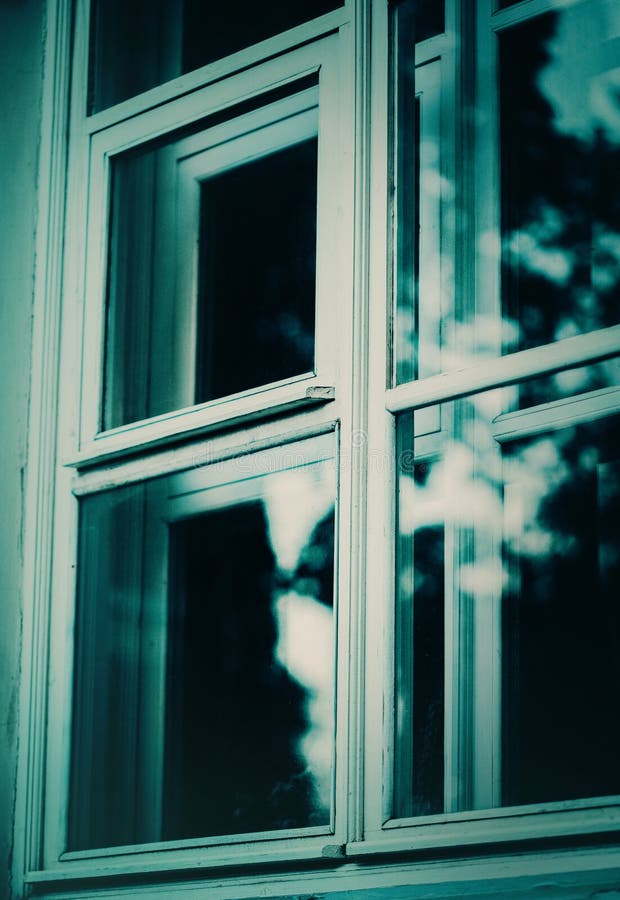 A Closed Window with White Frames, Reflecting the Leaves of Trees on ...