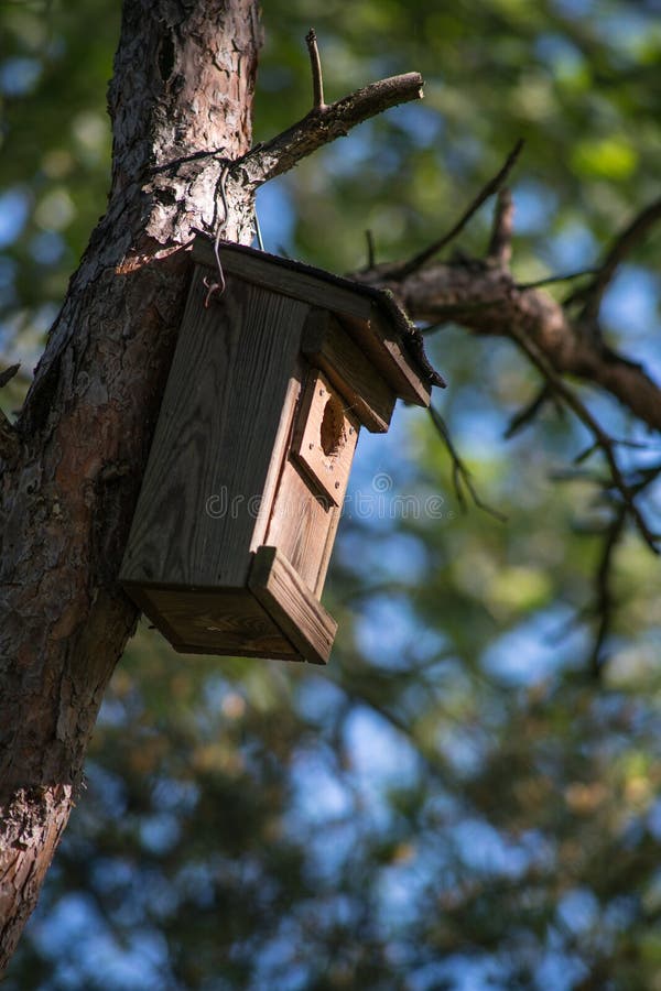 A Closer Look at a Bird House on a Tree. Stock Image - Image of ...