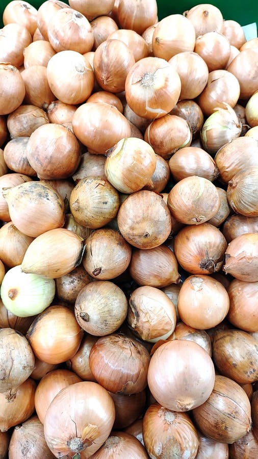 A Closer Up View of the Piling Bombay Onions Stock Photo - Image of ...