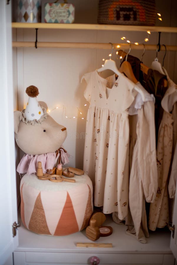 Closet with Dresses. Little Girl Stock Image - Image of style, clothes ...