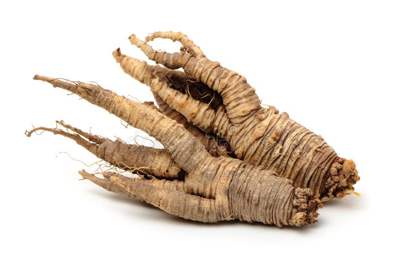 Jianghongyan - Photographer profile