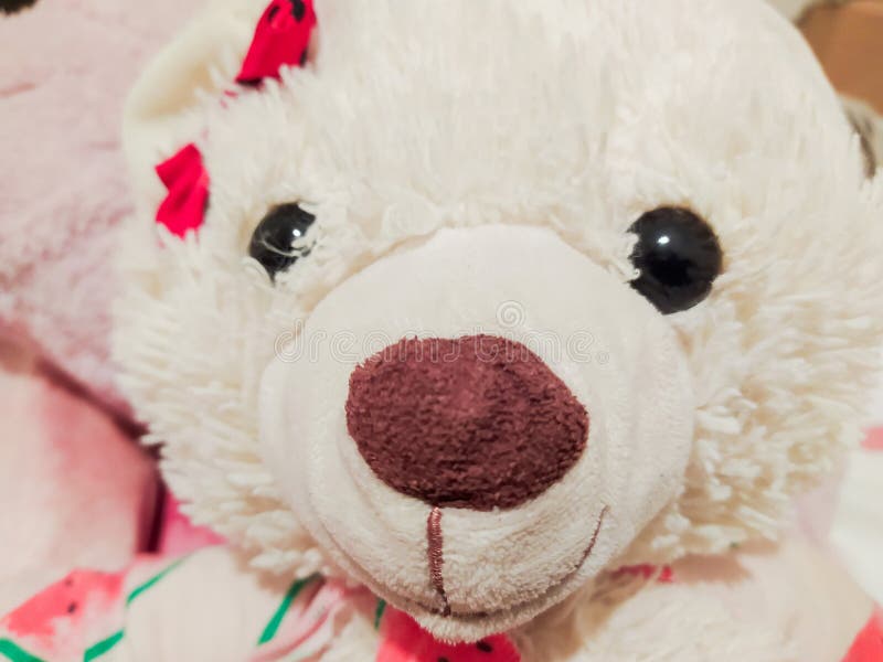 Closeup of an Adorable Fluffy White Teddy Bear with a Red Bow ...
