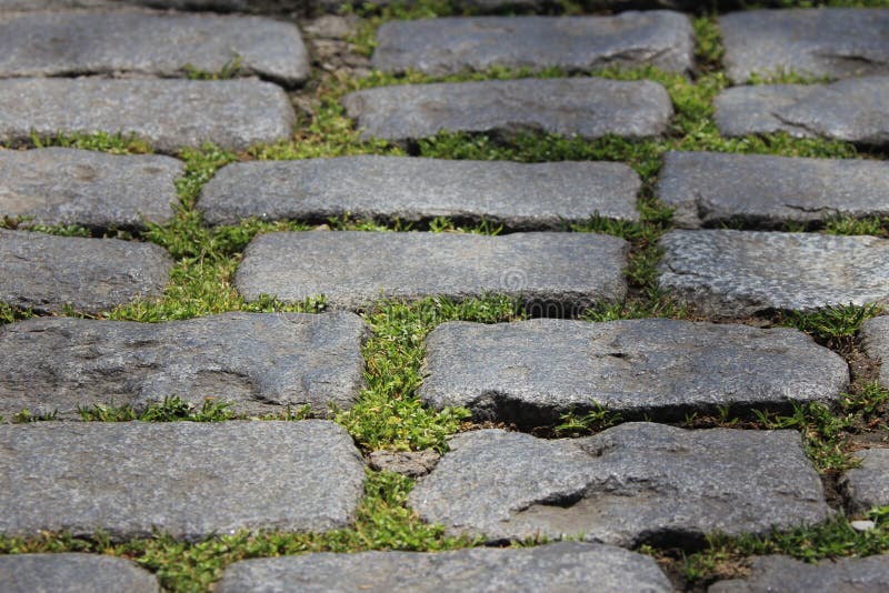 Closeup of Ancient Grey Stone Path with Moss Stock Photo - Image of ...
