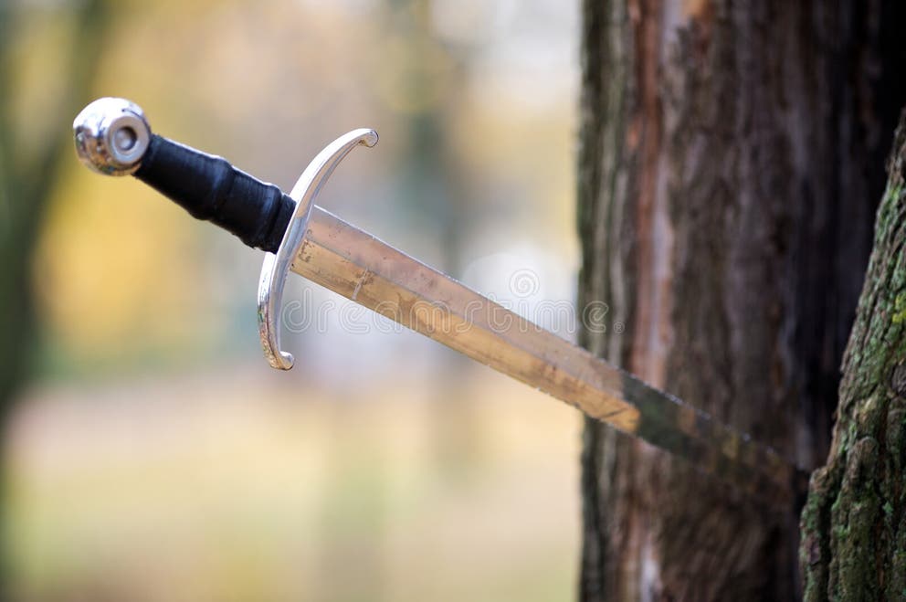 Closeup Ancient Sword Will Thrust in a Tree Stock Photo - Image of tree ...