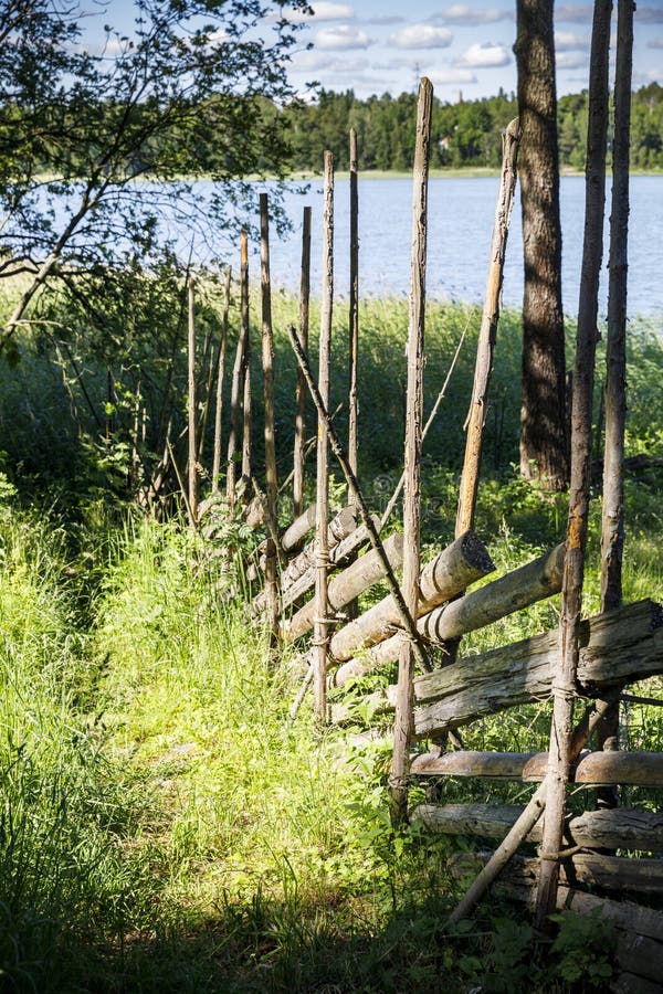 Closeup of Ancient Wooden Fence Stock Image - Image of forest, grass ...