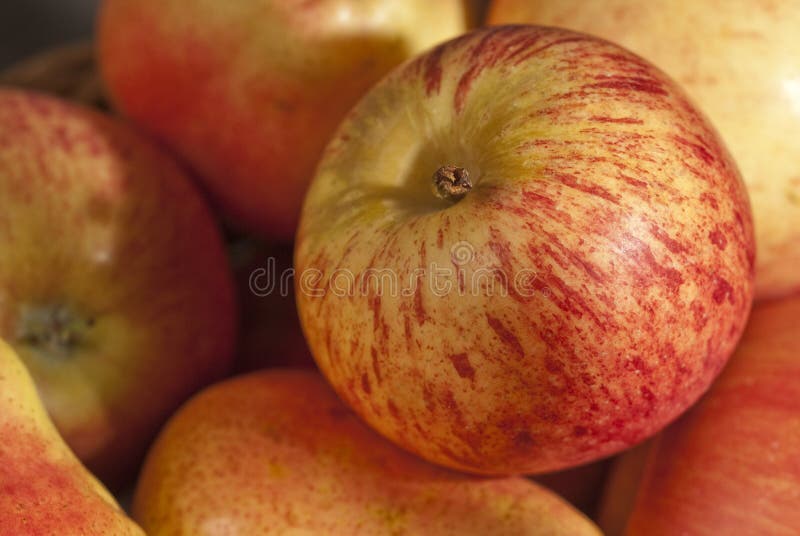 Fresh apples stock image. Image of food, shiny, choice - 23017011