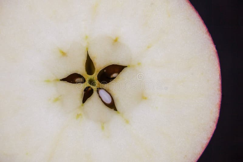 Closeup on Apple Core Shape Stock Image - Image of natural, nutritious ...