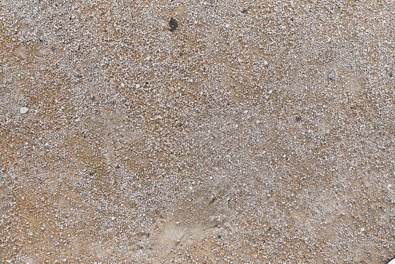 Closeup of Arid Ground Texture Stock Image - Image of terrain, texture ...