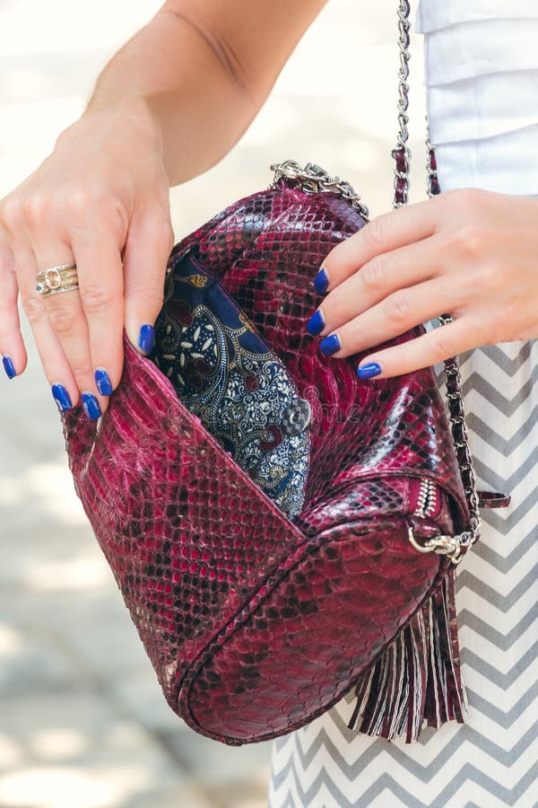Closeup Attractive Beautiful Woman with Snakeskin Python Handbag Posing ...