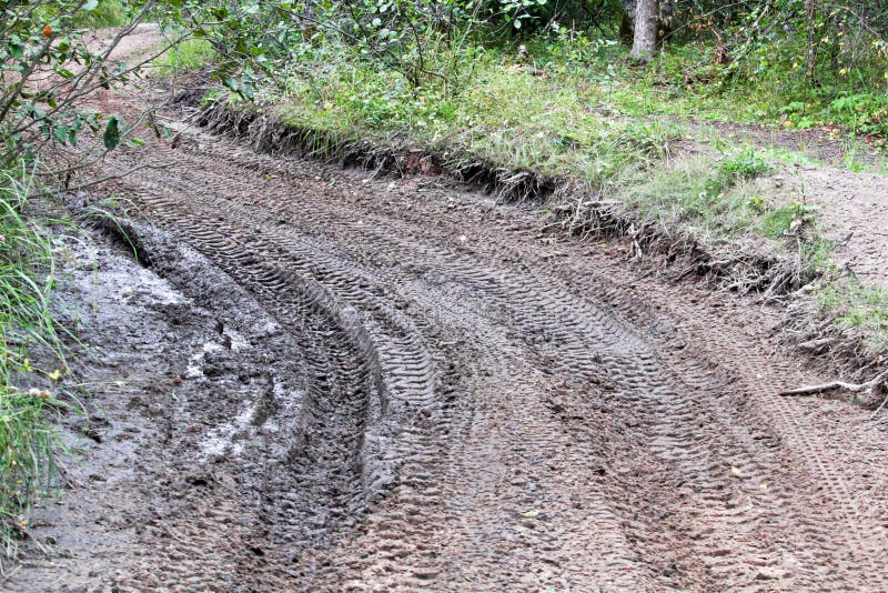 A Muddy Road with Ruts in a Cutline Stock Image - Image of nature, soil ...