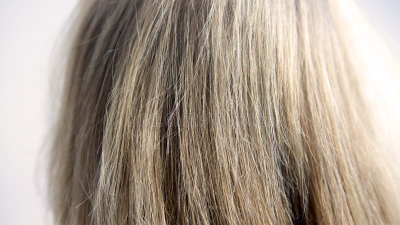 Closeup of Back of Head with Long Blond Hair Stock Photo - Image of ...