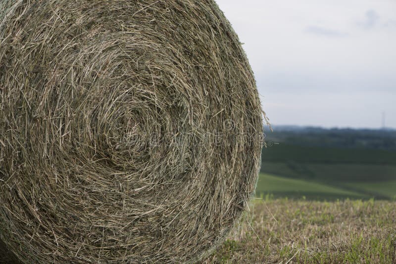 Hay bail close up stock photo. Image of bail, rural, natural - 58260762