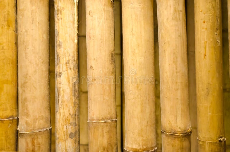 Closeup Bamboo Fence Texture. Stock Photo - Image of asian, brown: 27536744