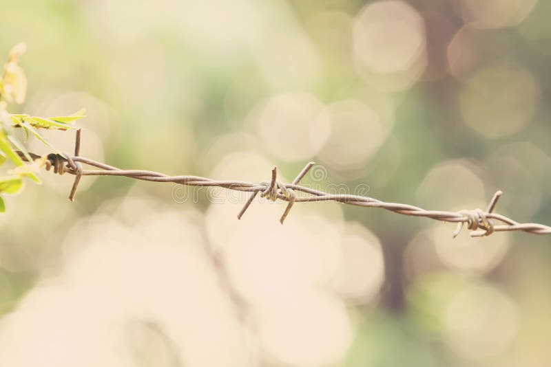 Closeup Barbed Wire,focus at Center Stock Photo - Image of hard ...