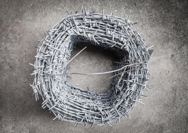 Closeup barbed wire stock photo. Image of steel, freedom - 62375872