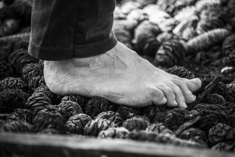 Naked Woman White Back Ground Stock Photos - Free & Royalty-Free Stock ...