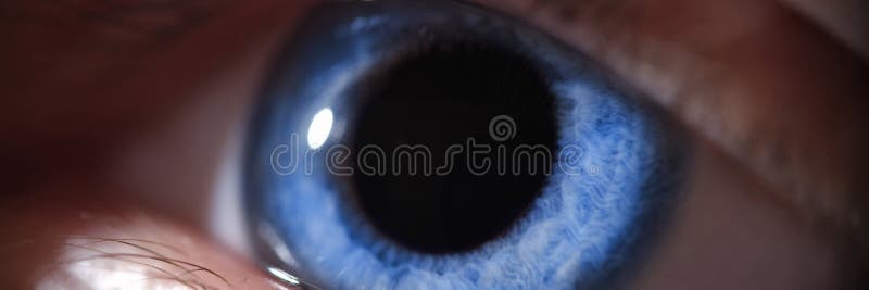 Closeup of Beautiful Bright Blue Human Eye Stock Photo - Image of ...