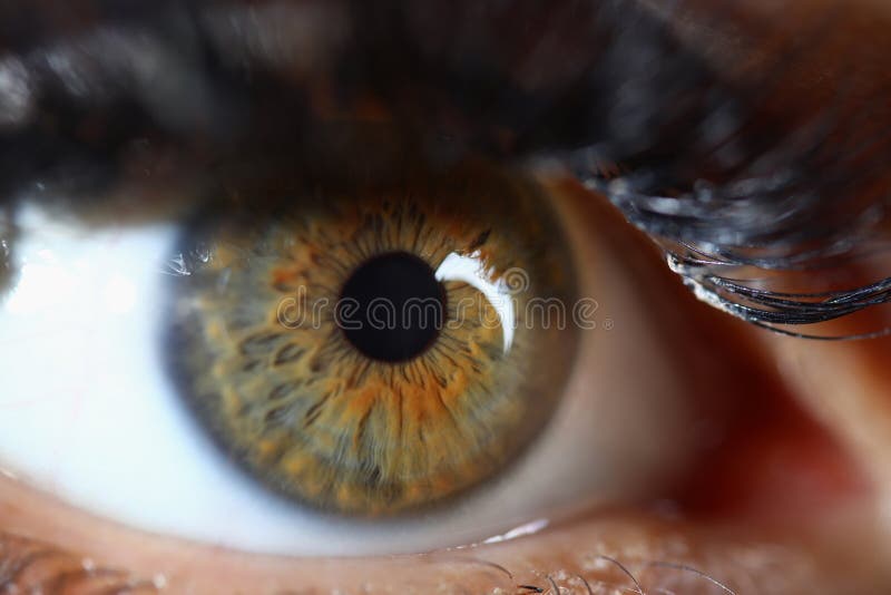 Closeup of Beautiful Green Brown Human Eye Stock Photo - Image of ...