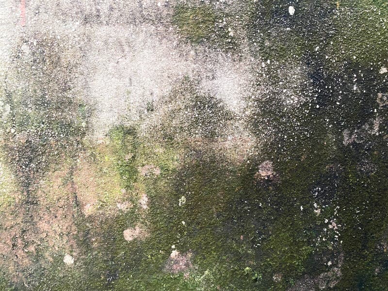 Closeup of a Beautiful Grey Concrete Surface, Suitable for Creating ...