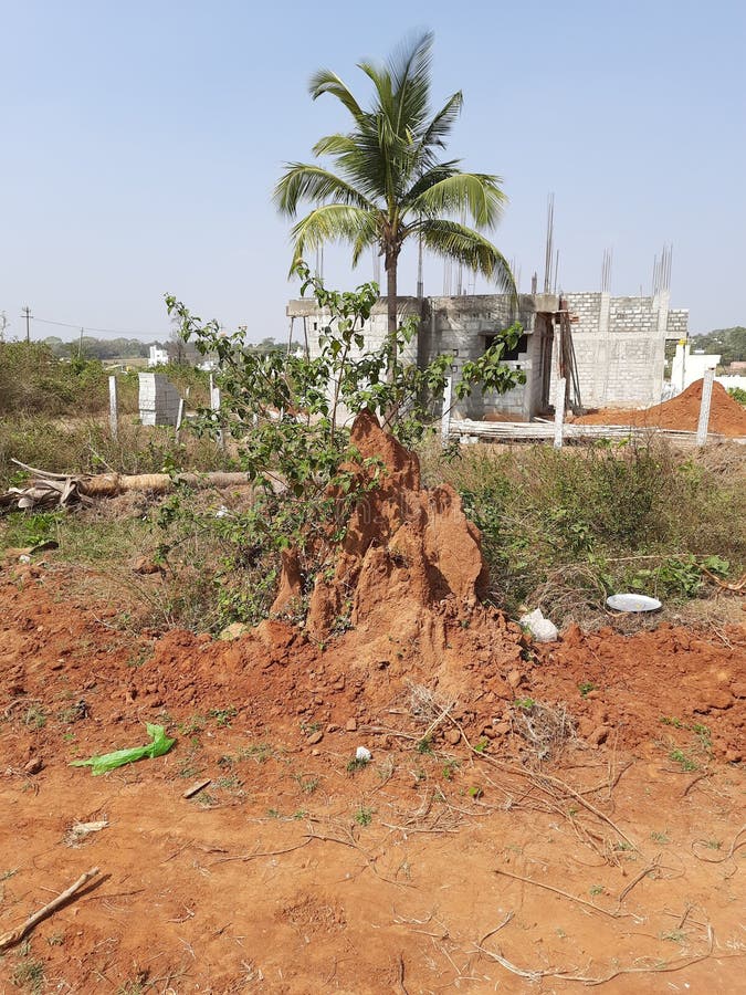 A Beautiful Anthill in Front of a Small Shrine in South Indian Region ...