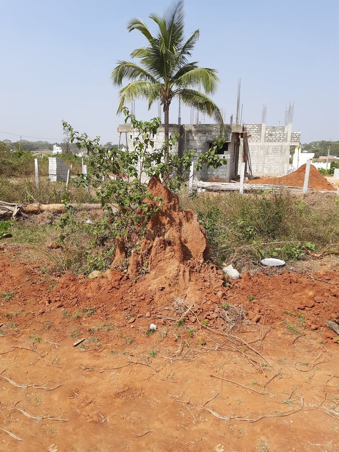 A Beautiful Anthill in Front of a Small Shrine in South Indian Region ...