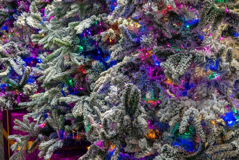 Closeup of Beautifully Decorated Colorful Christmas Trees Stock Photo ...
