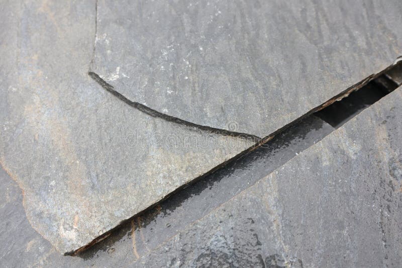 A CloseUp of Beautifully Textured Slate Tiles Featuring Unique and ...