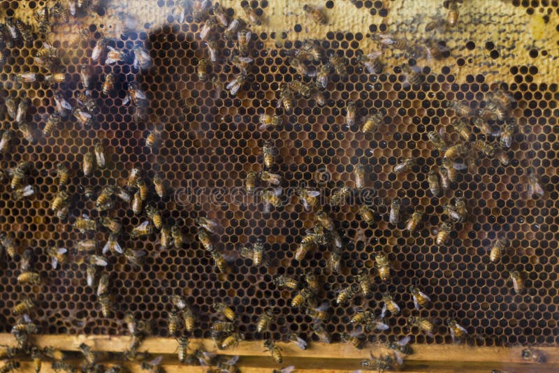 Wing Cross Section Photos - Free & Royalty-Free Stock Photos from ...