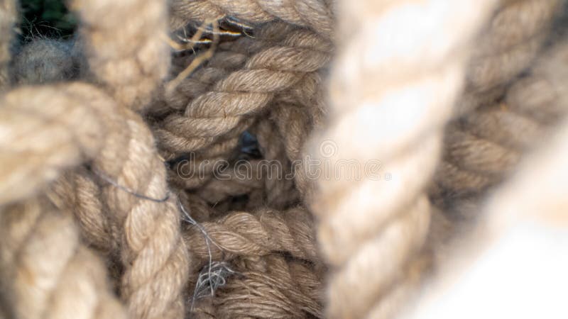 Closeup of a Beige Rope Texture Stock Image - Image of rope, abstract ...